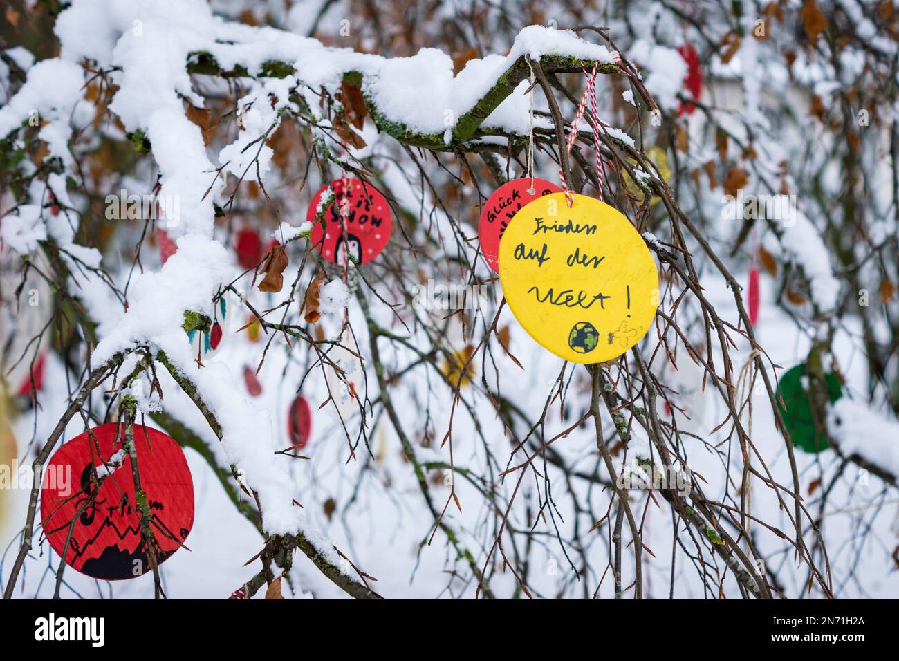 Wishing tree, notes, messages, wishes, winter, snow, Schrevenpark, Kiel ...