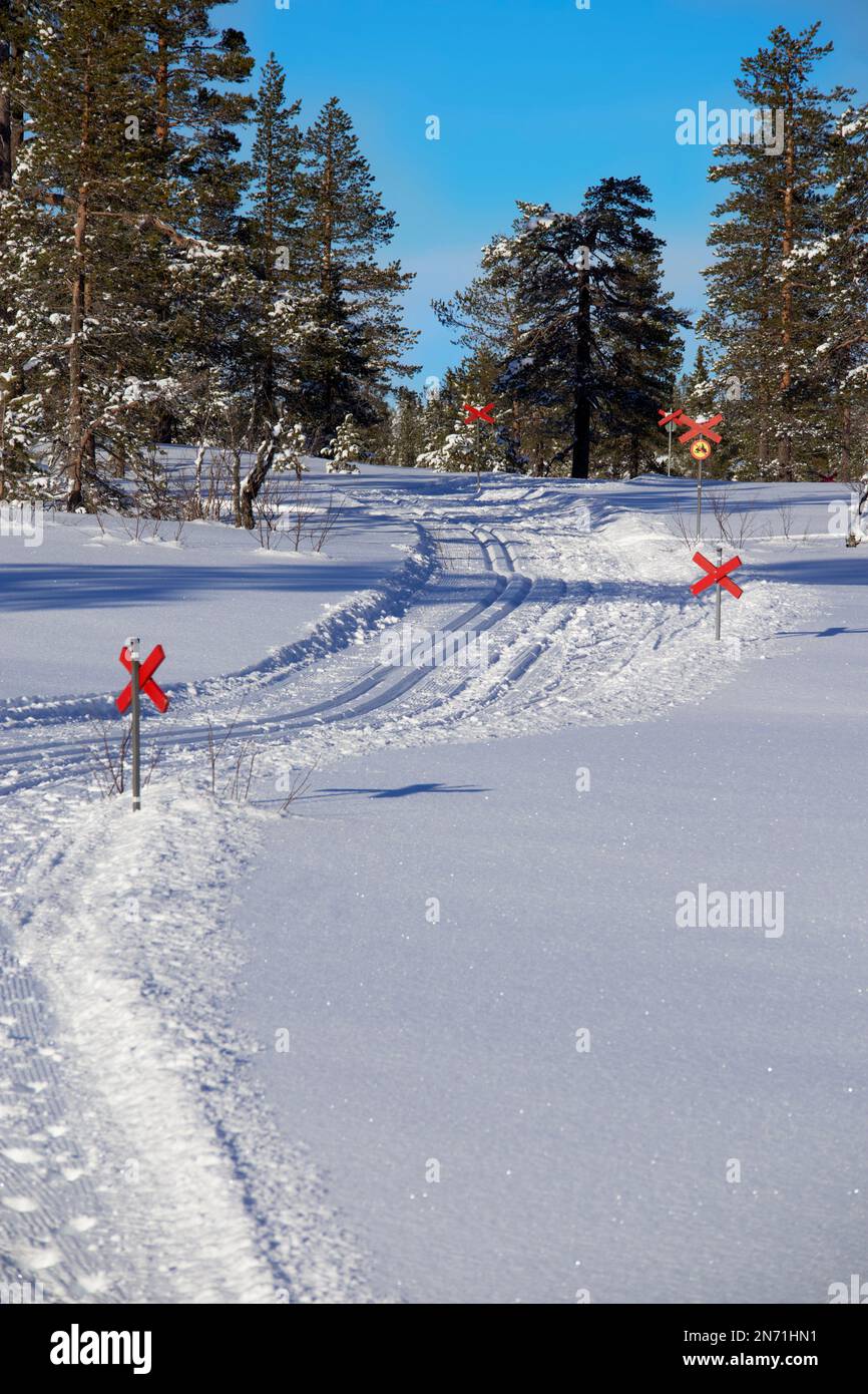 a bunch of red cross markers on a winter trail in the mountain forest ...