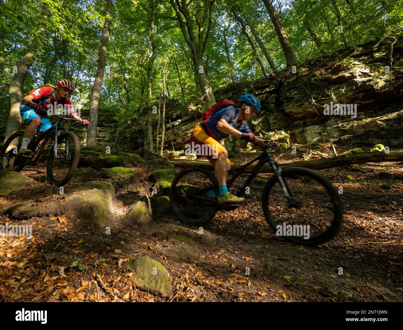 E-mountain biker on single trail in the Müller Valley. The Müllerthal ...
