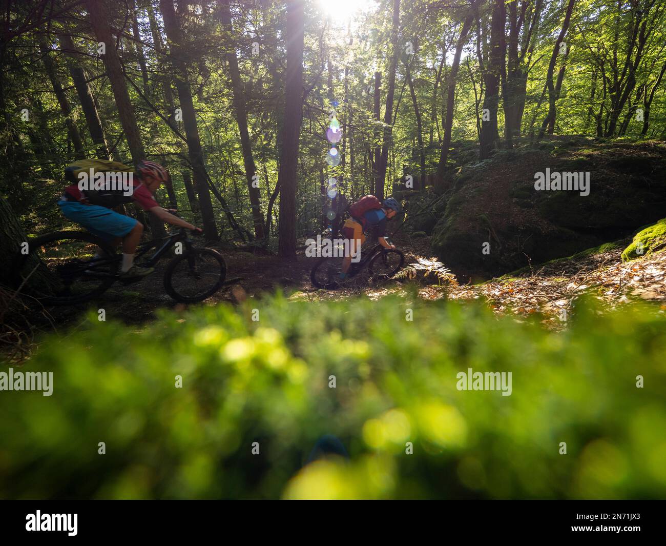 E-mountain biker on single trail in Müllertal. Forest trail near ...
