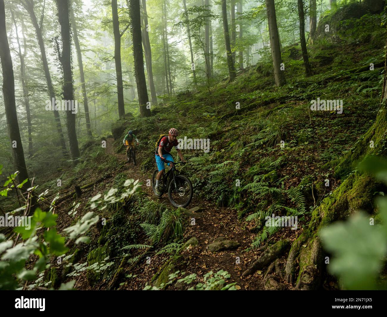 E-mountain biker on single trail in Mullerthal. Morning atmosphere ...