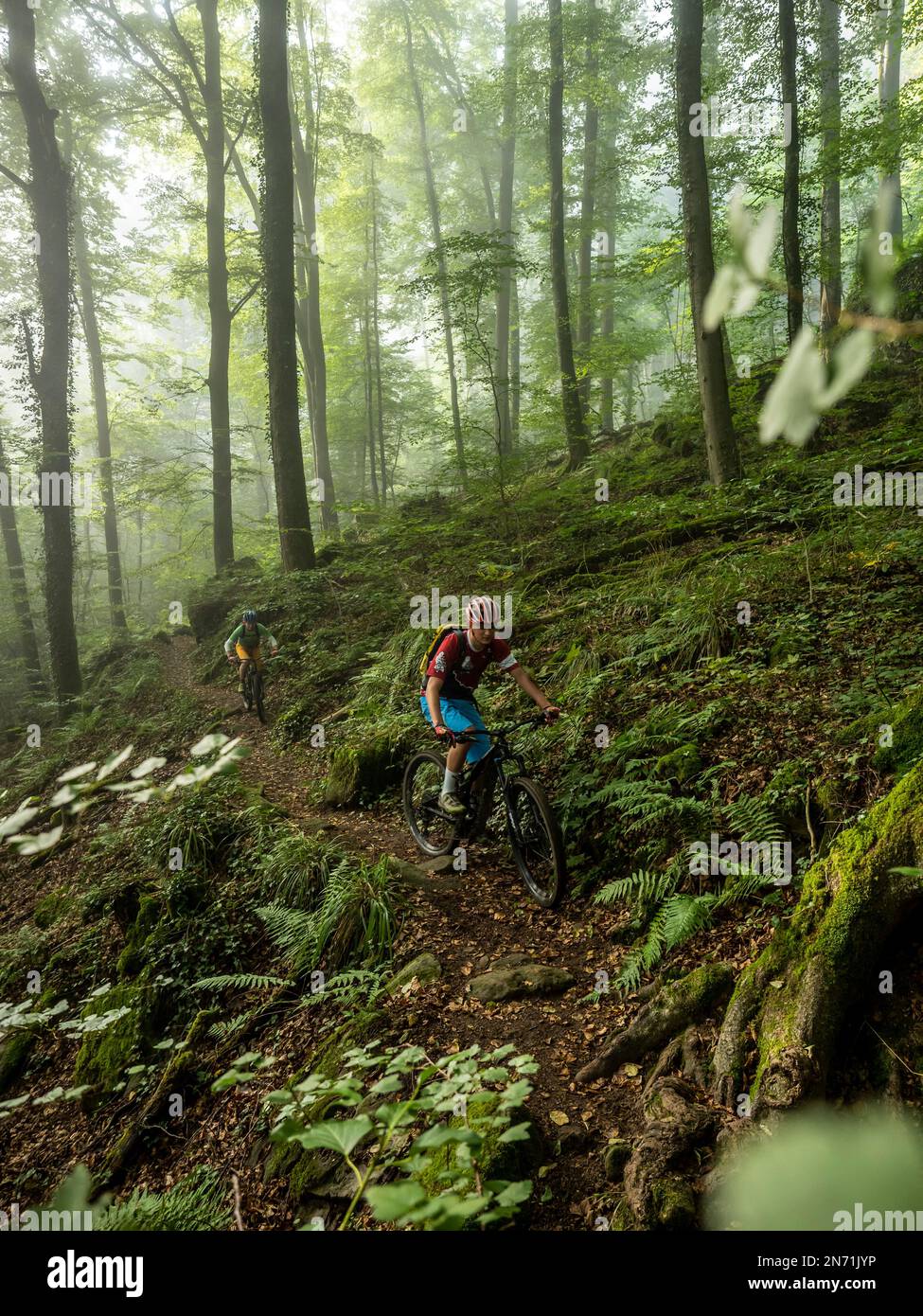 E-mountain biker on single trail in Mullerthal. Morning atmosphere ...