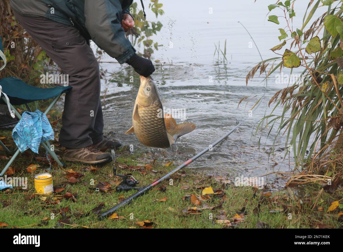 Landing a fish hi-res stock photography and images - Alamy