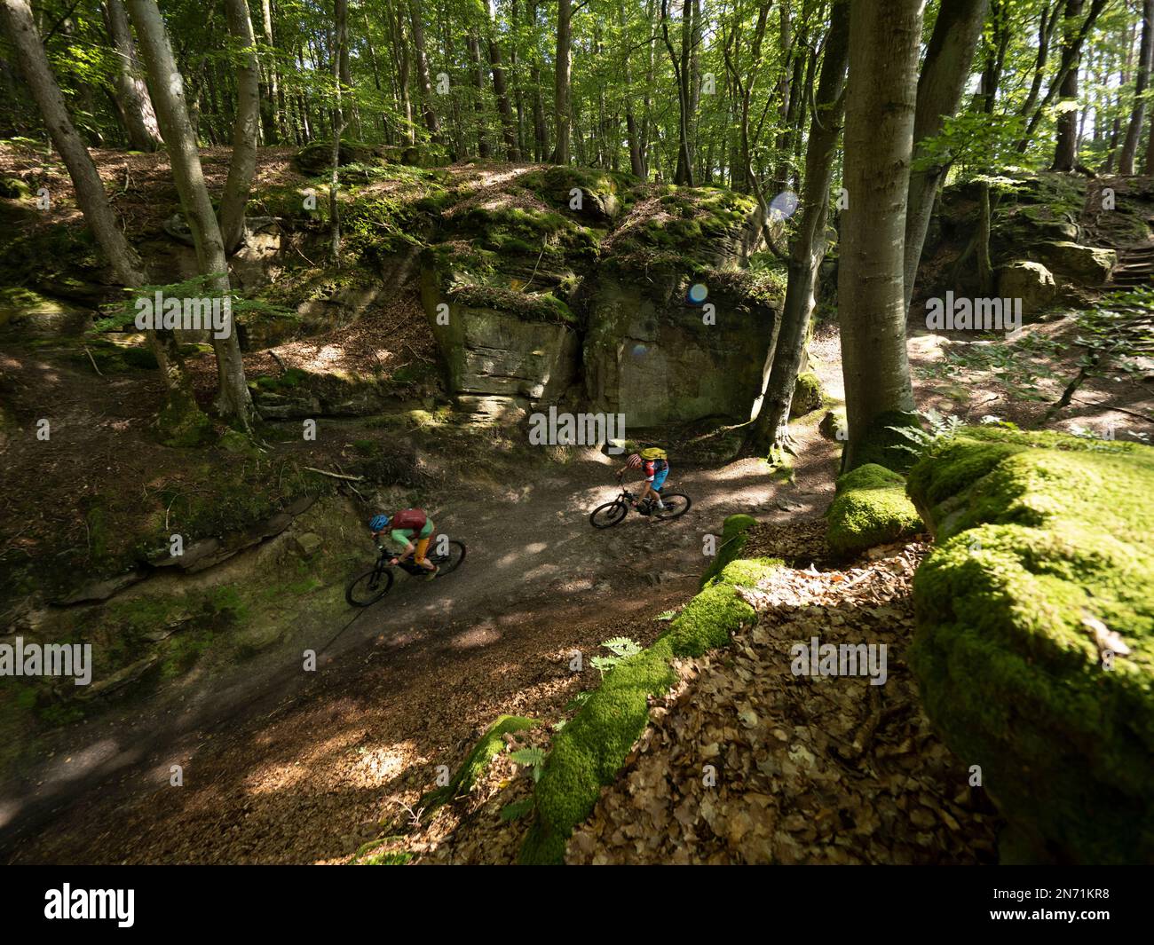 E-mountain biker on single trail in the Mullerthal near Berdorf ...