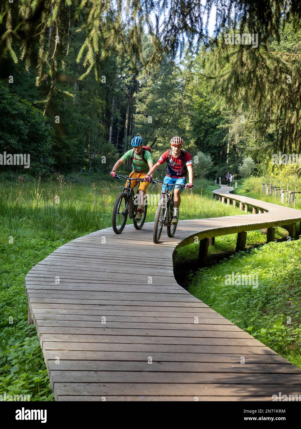 E-mountain biker on wooden plank path in the Mullerthal on the ...