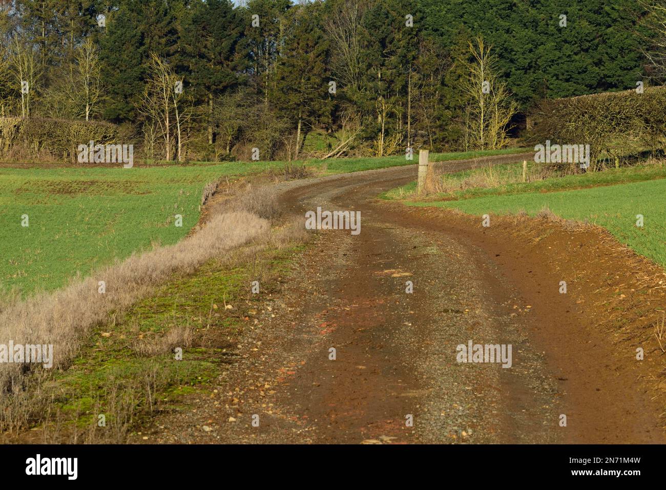 A farm track through fields in the English countryside Stock Photo - Alamy