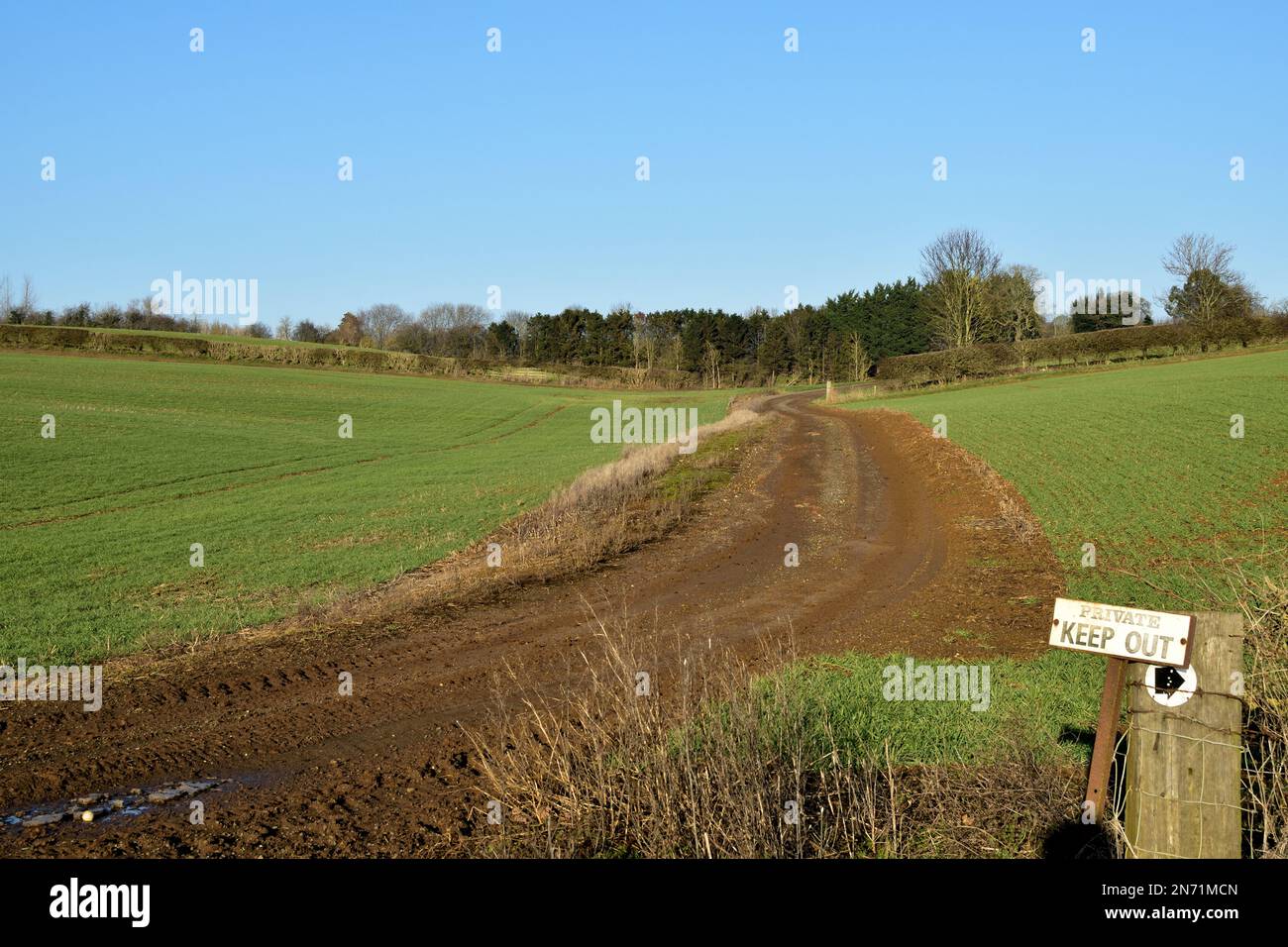 A muddy farm track in the English countryside Stock Photo - Alamy