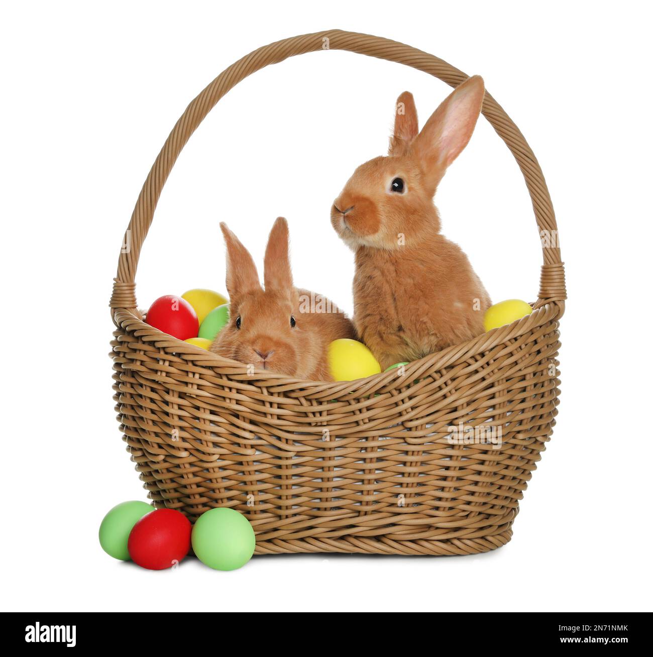 Adorable furry Easter bunnies in wicker basket with dyed eggs on white ...