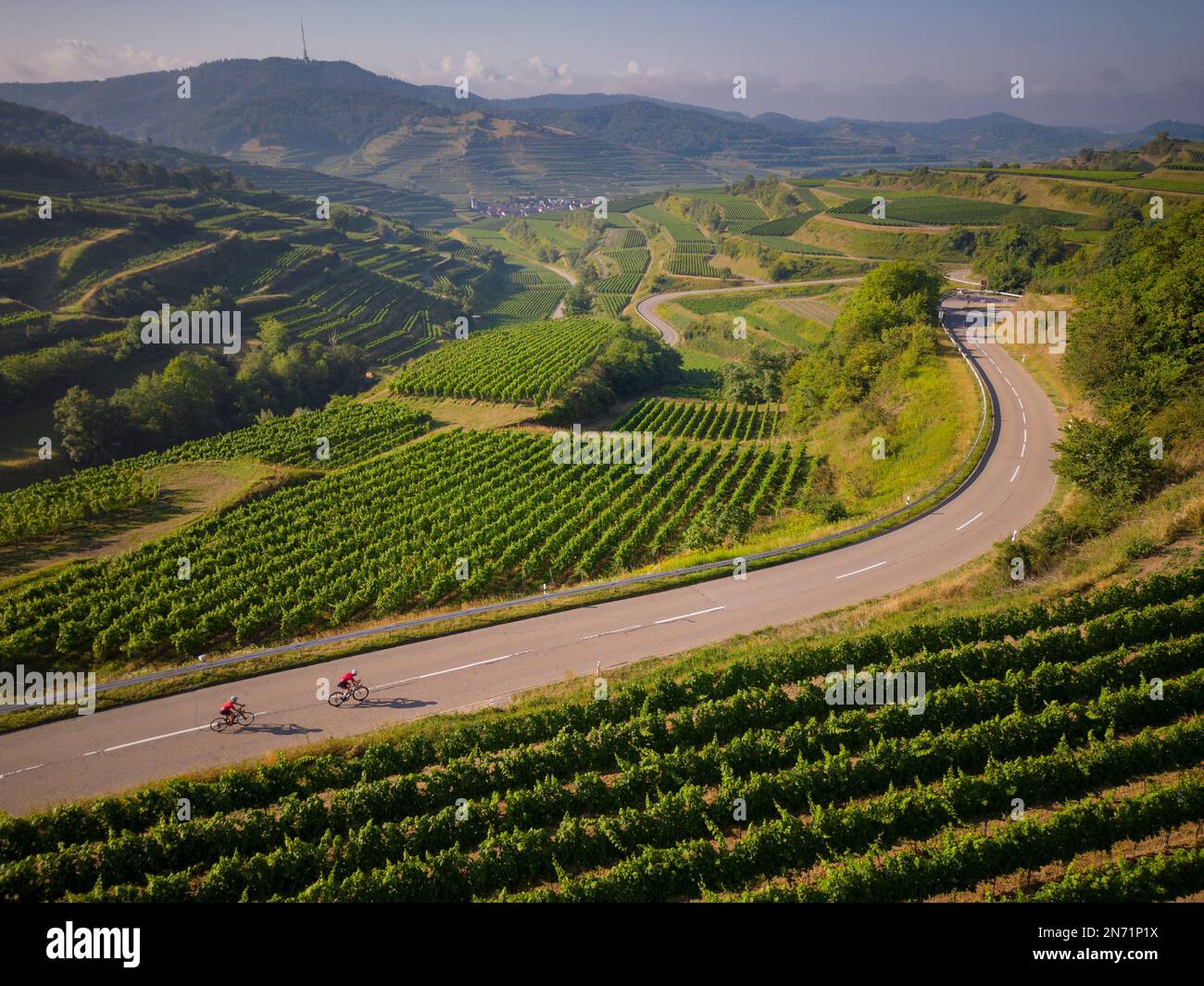 Curves, serpentines and vineyard terraces at Texaspass, Kaiserstuhl ...