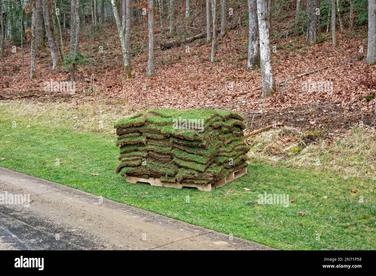 Full pallet of sod grass in squares ready to be laid down on the ground ...