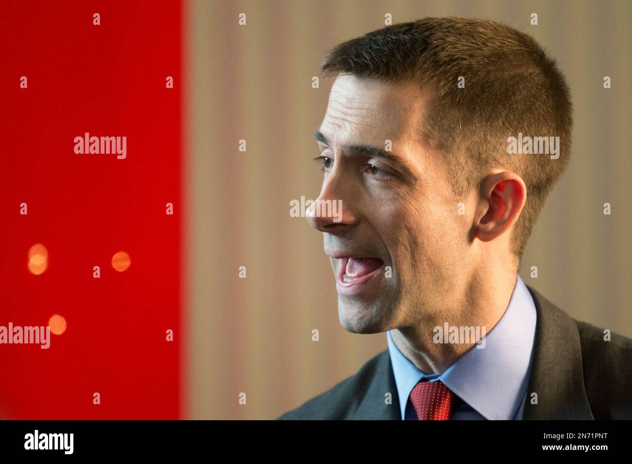 FILE - In this March 14, 2013, file photo Arkansas Republican Rep. Tom ...