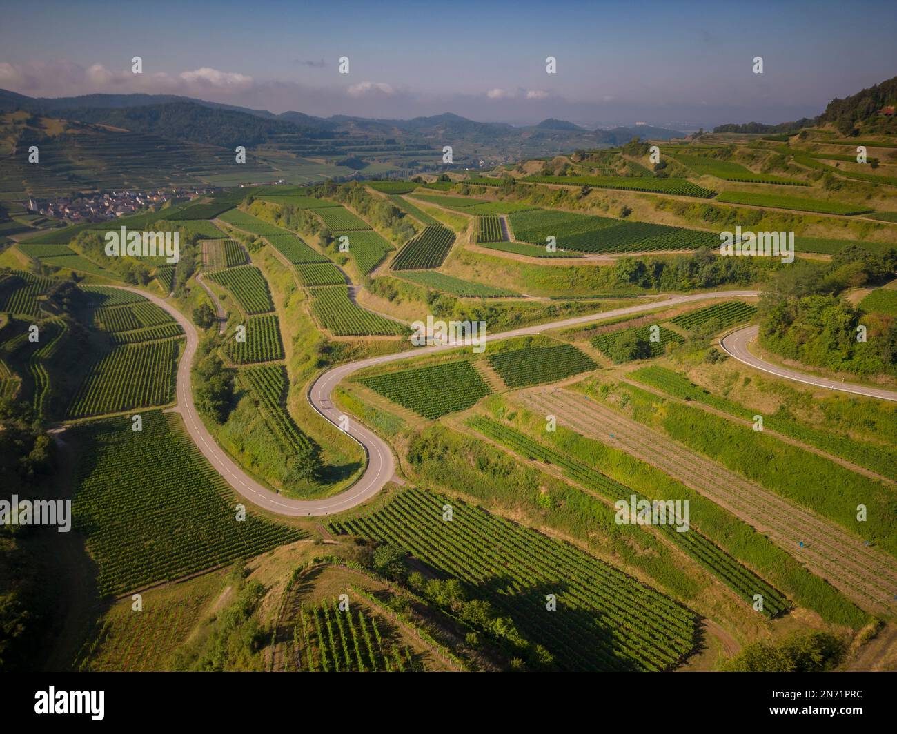 Curves, serpentines and vineyard terraces at Texaspass, Kaiserstuhl ...