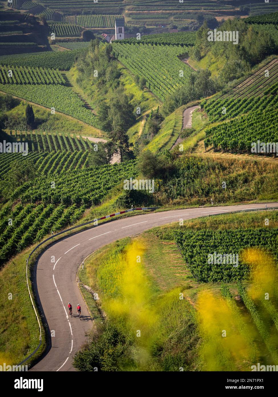 Curves, serpentines and vineyard terraces at Texaspass, Kaiserstuhl ...