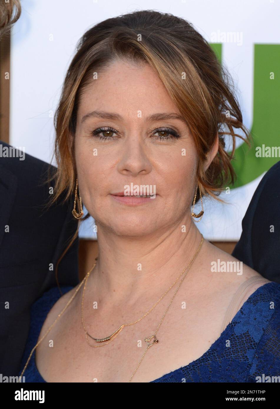 Megan Follows arrives at the CBS, CW and Showtime TCA party at The ...