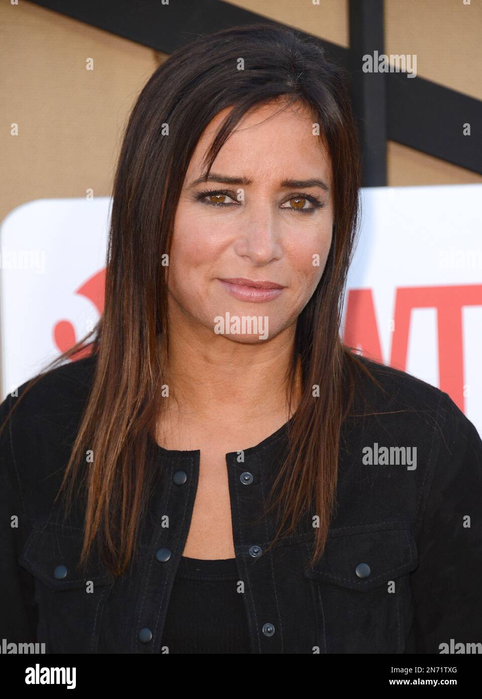 Pamela Adlon arrives at the CBS, CW and Showtime TCA party at The ...