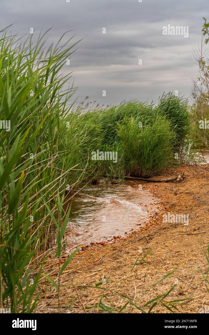 Lake Zwenkau the largest lake in the Leipzig Neuseenland, city of ...