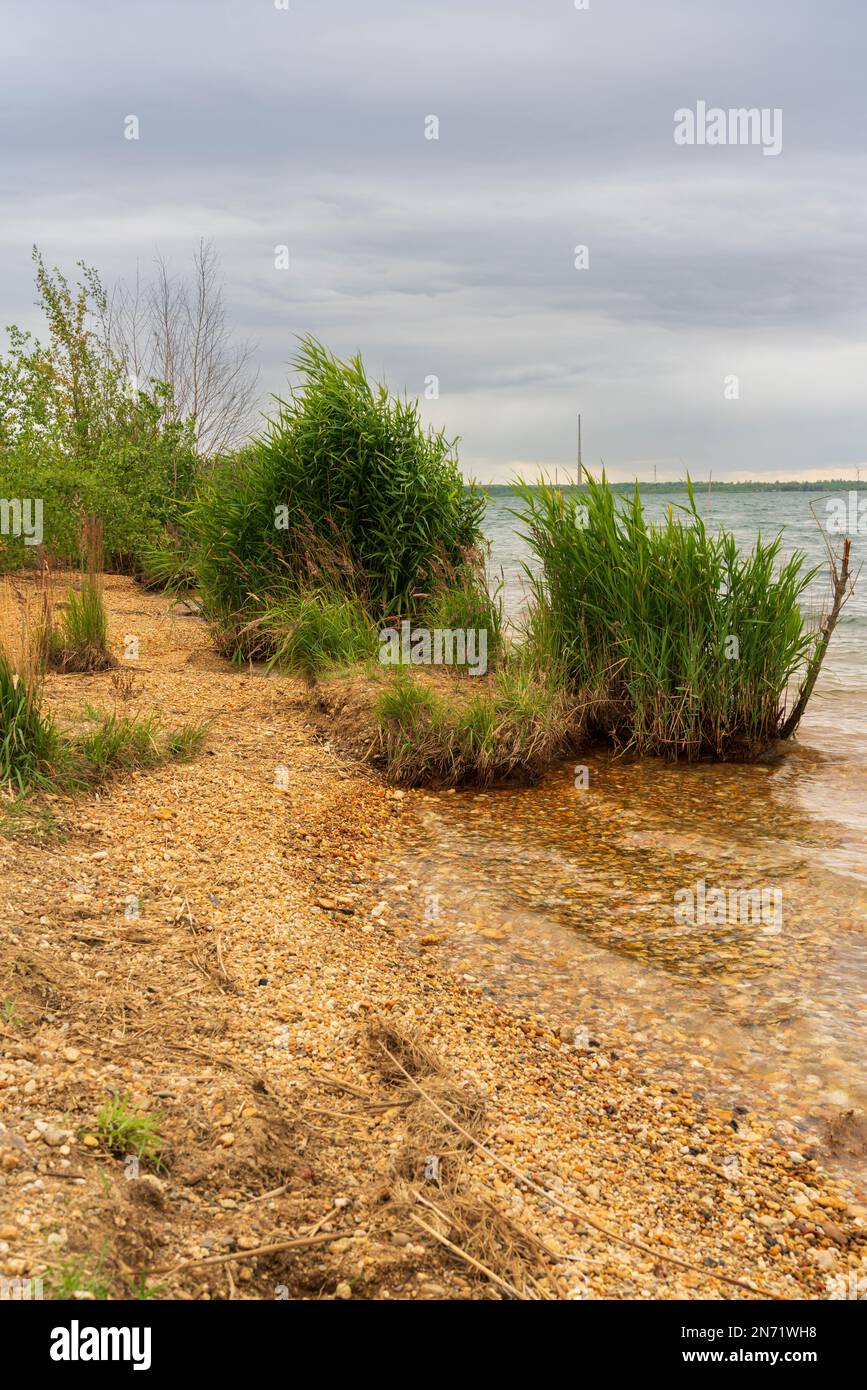 Lake Zwenkau the largest lake in the Leipzig Neuseenland, city of ...