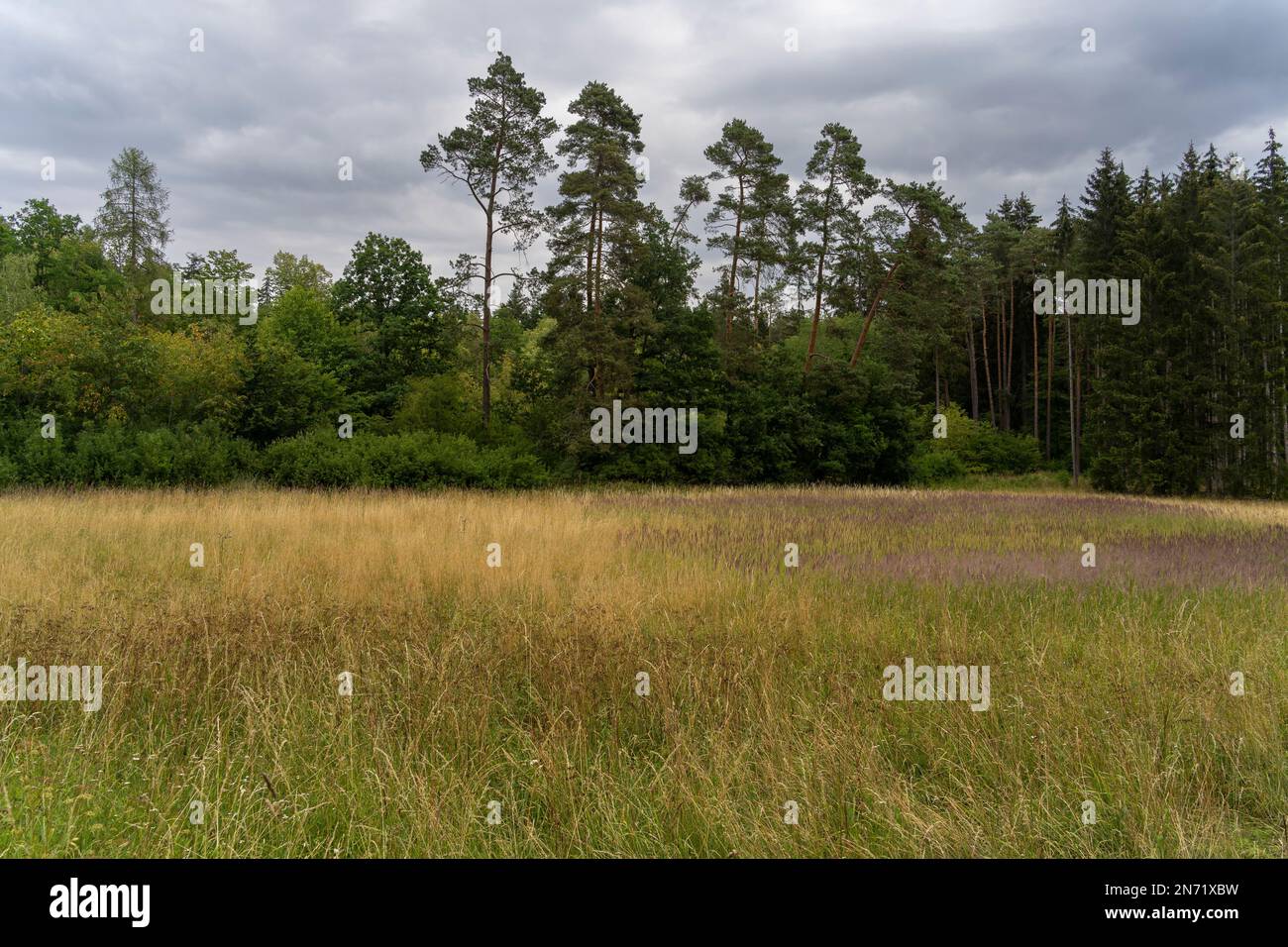 Landscape near sambachshof in the nature park hassberge hi-res stock ...