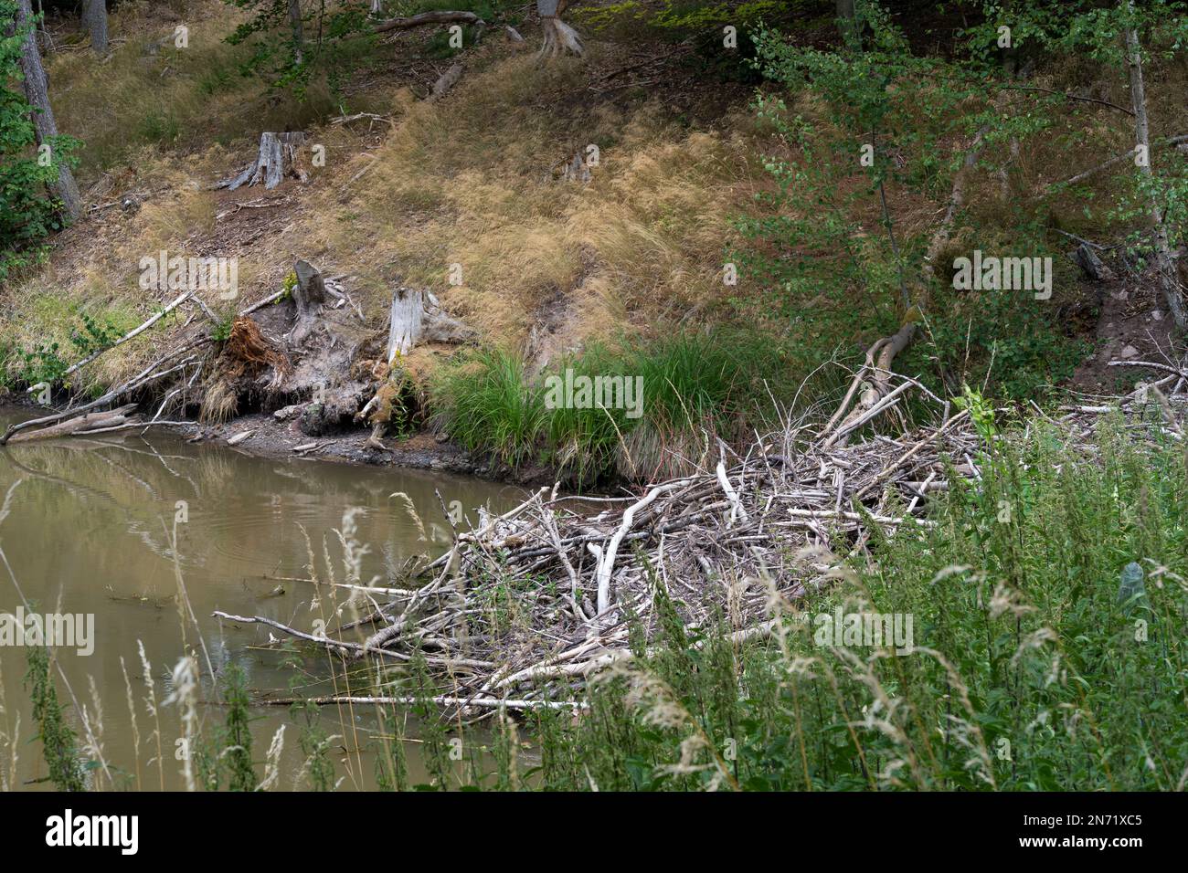 Beaver castle in the nature park Hassberge, Lower Franconia, Franconia ...