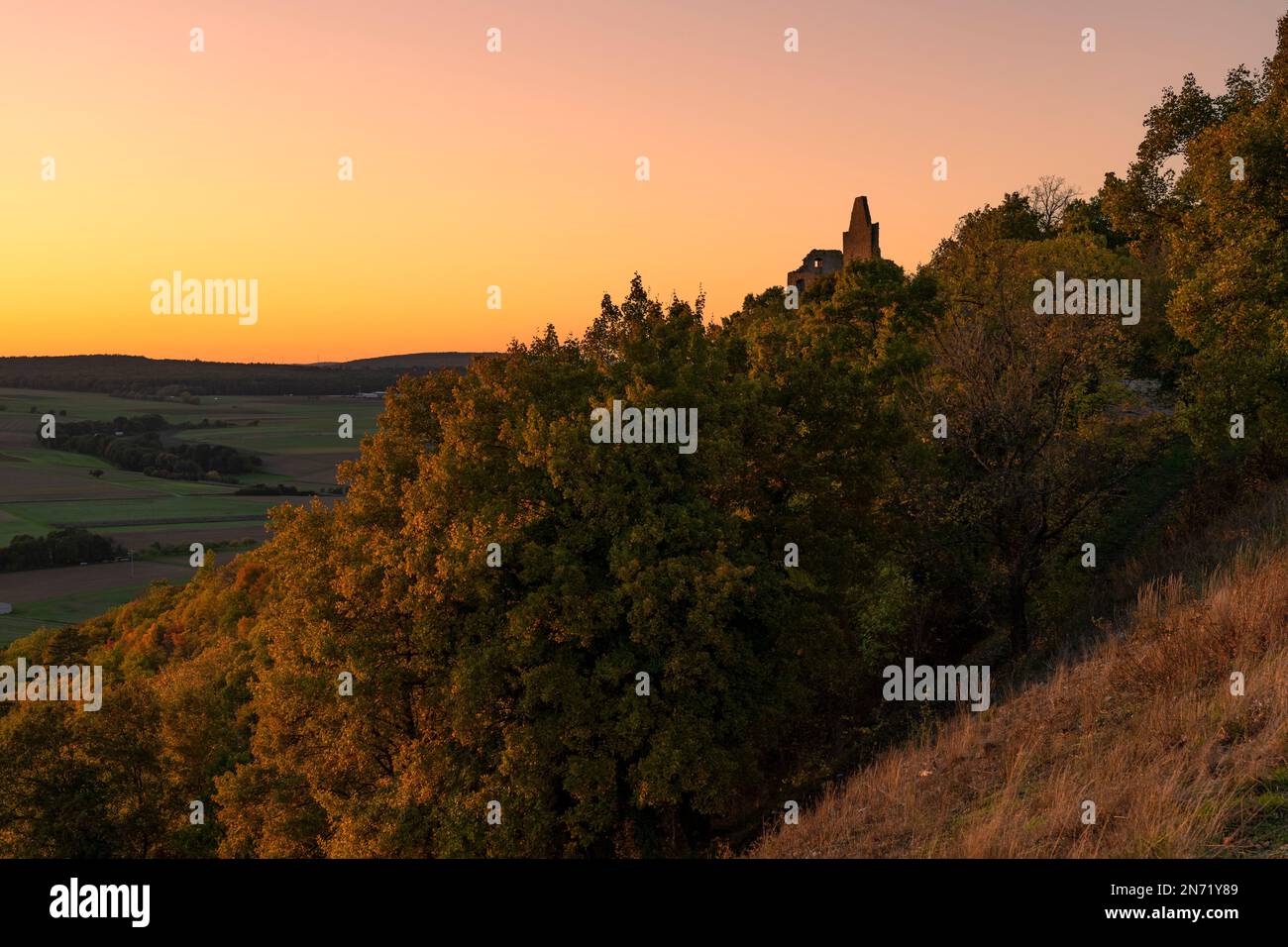 Evening mood at the castle ruin Homburg and the nature reserve ruin ...