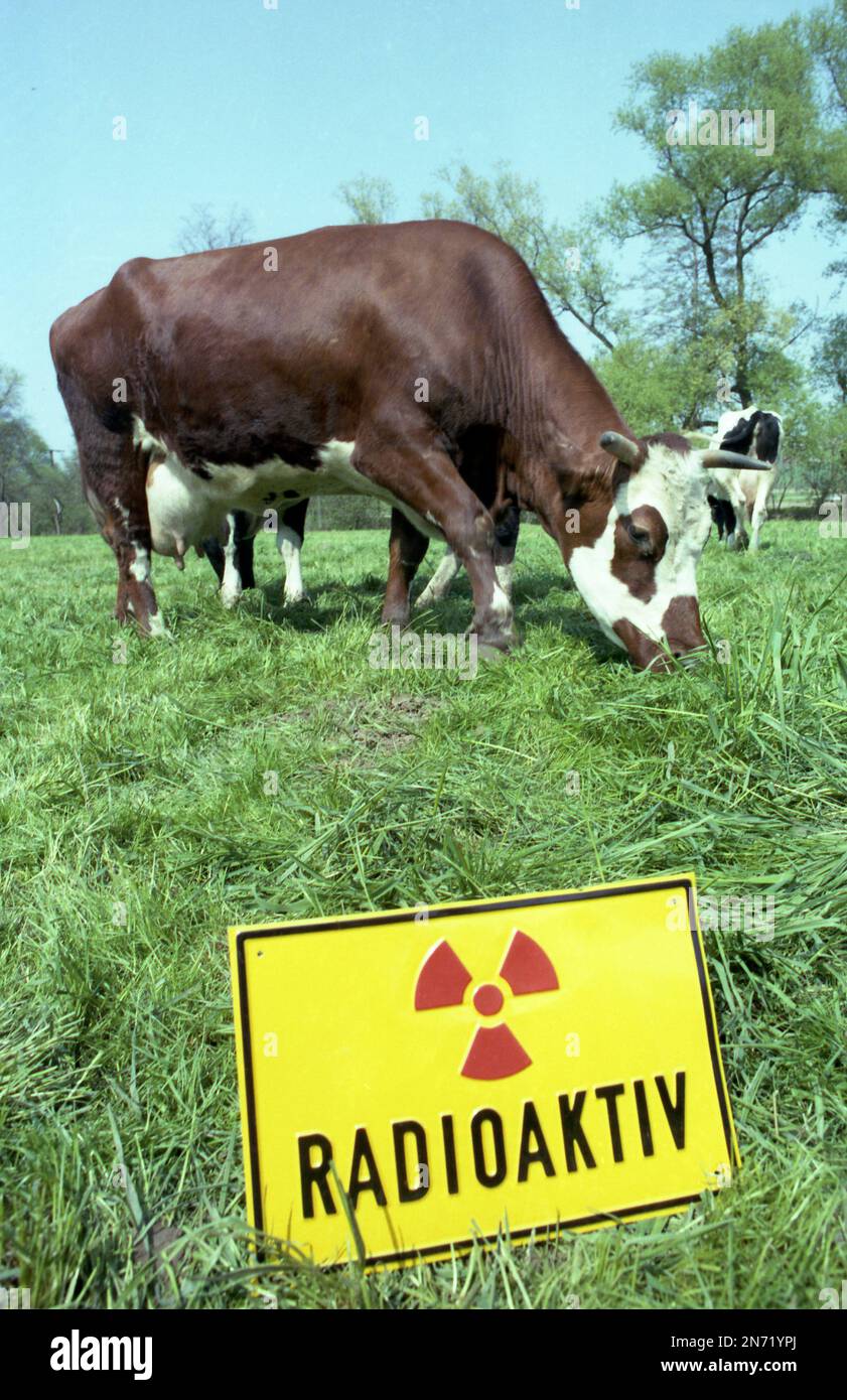 German Health autorities warned farmers to keep cattle inside after ...