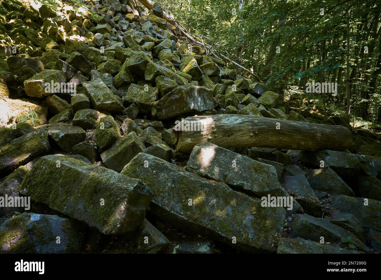 Basalt columns in the Gangolfsberg nature reserve in the core zone of ...