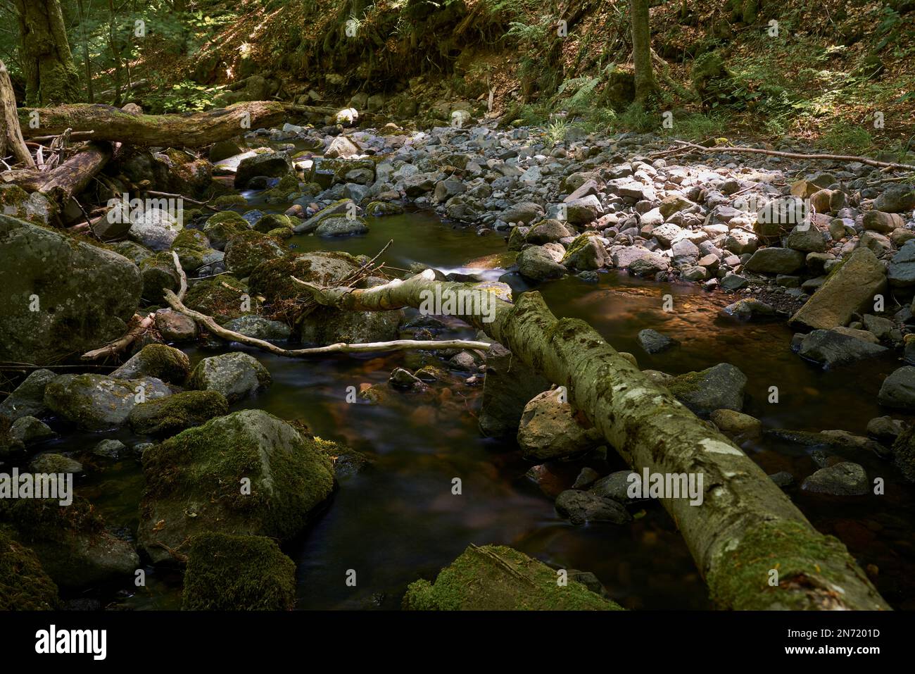 The Elsbach in the Gangolfsberg nature reserve in the core zone of the ...