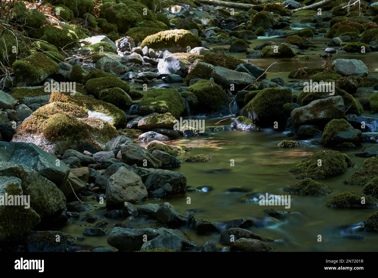 The Elsbach in the Gangolfsberg nature reserve in the core zone of the ...