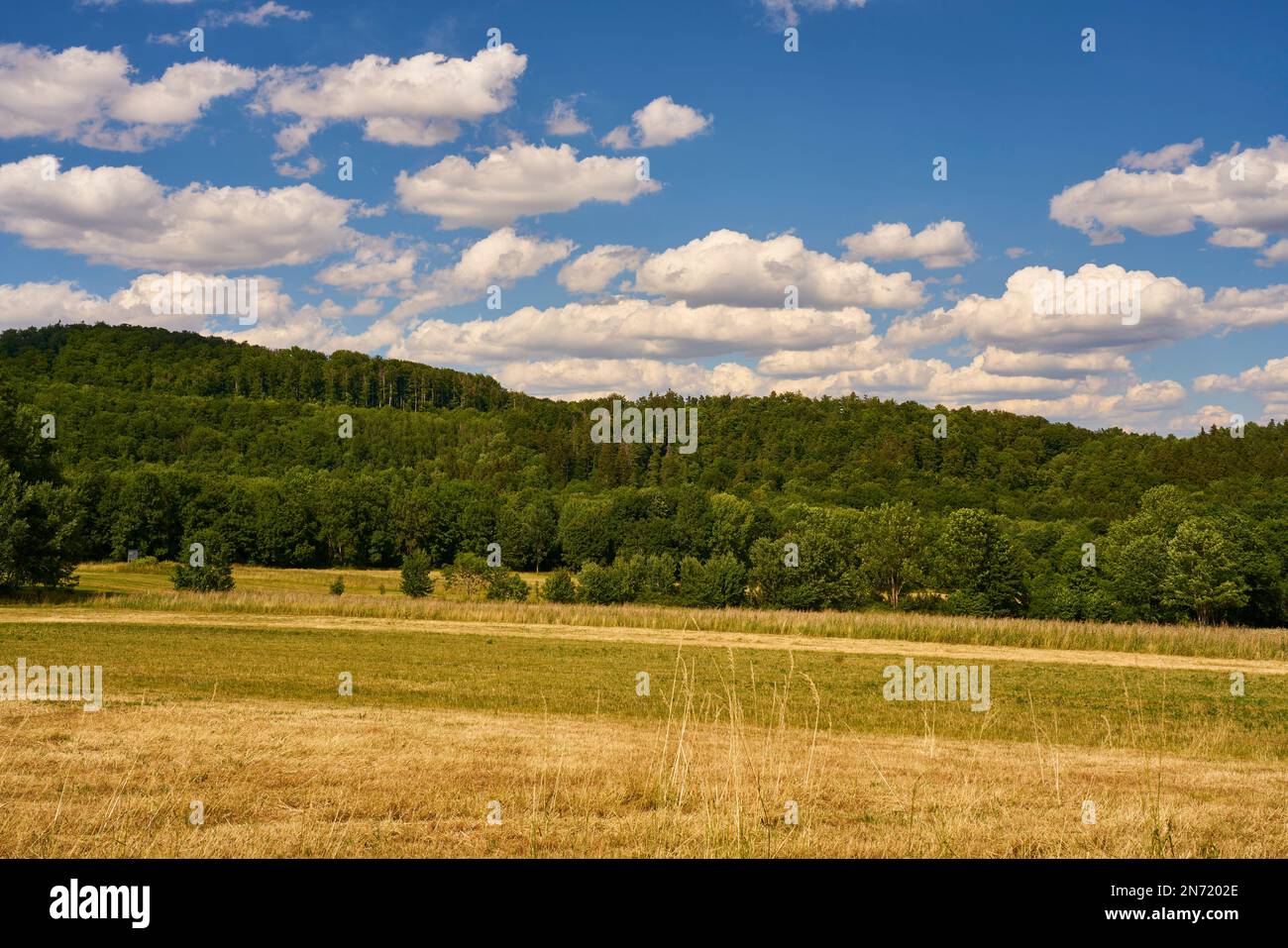 Gangolfsberg nature reserve in the core zone of the Rhön biosphere ...