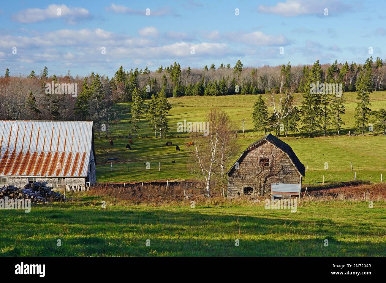 A fall farmscape on Canada's Prince Edward Island Stock Photo - Alamy