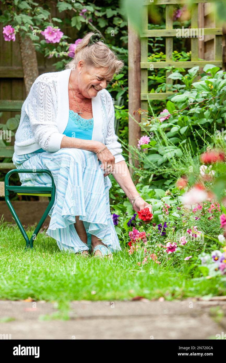 Retirement: Proud Gardener. A senior lady with limited mobility ...