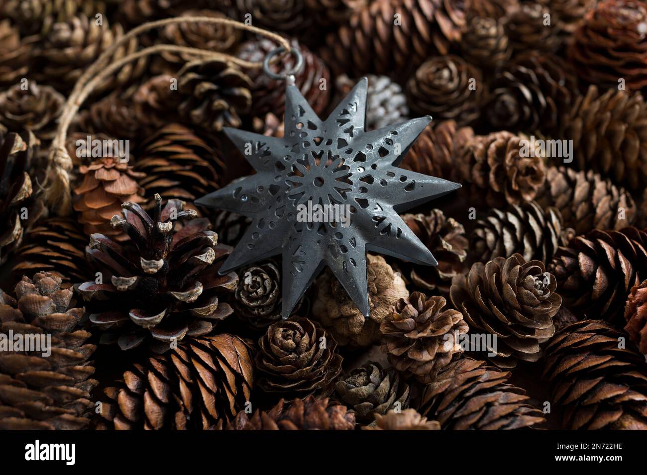 Star and cones from different conifers, decoration with natural ...