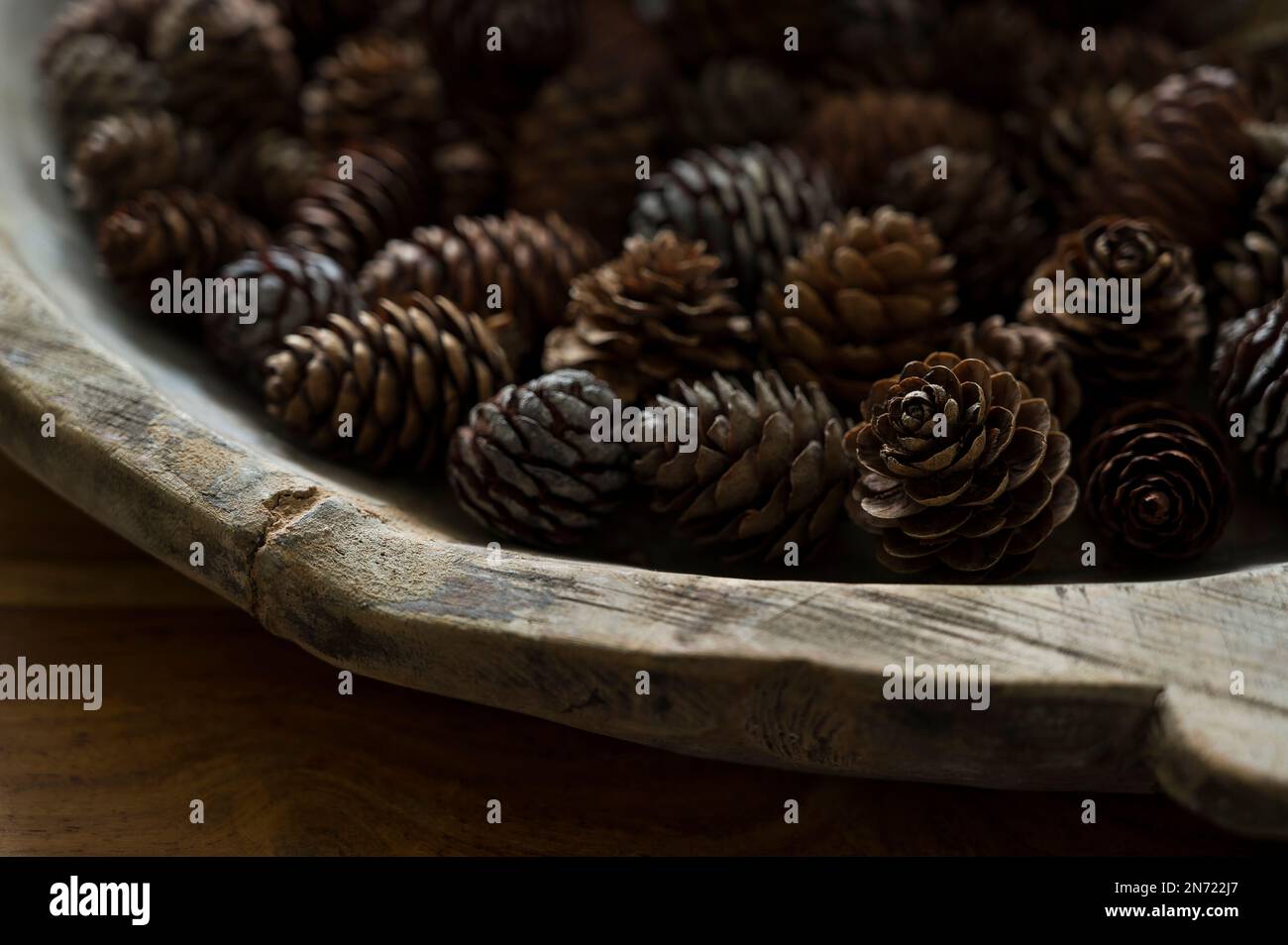 Cones from various conifers in an old wooden bowl, decoration with ...