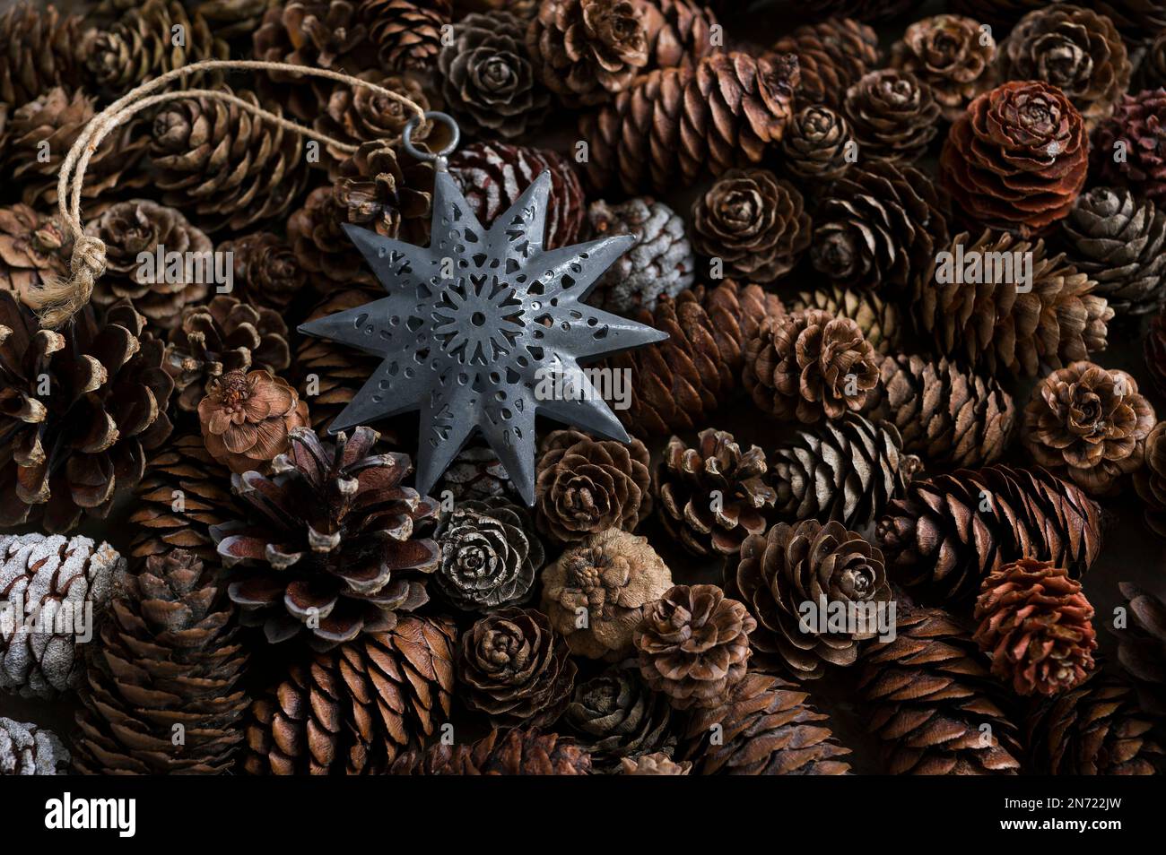 Star and cones from different conifers, decoration with natural ...