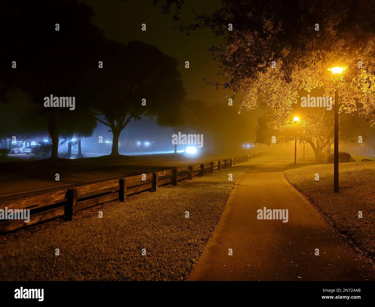 Foggy morning in Miami, Florida, USA Stock Photo - Alamy