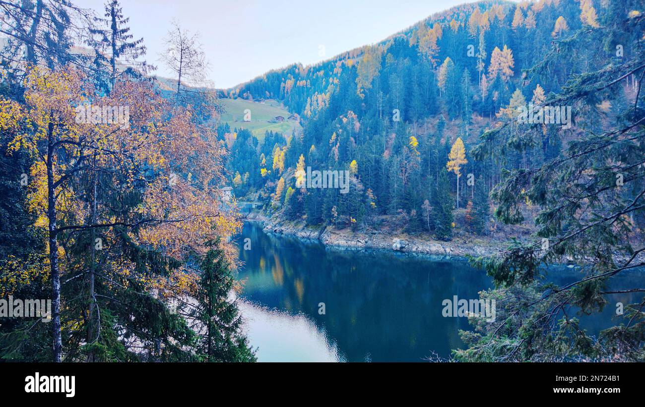 Birch leaves and spruce branches form the frame at Lake Zogglersee in ...