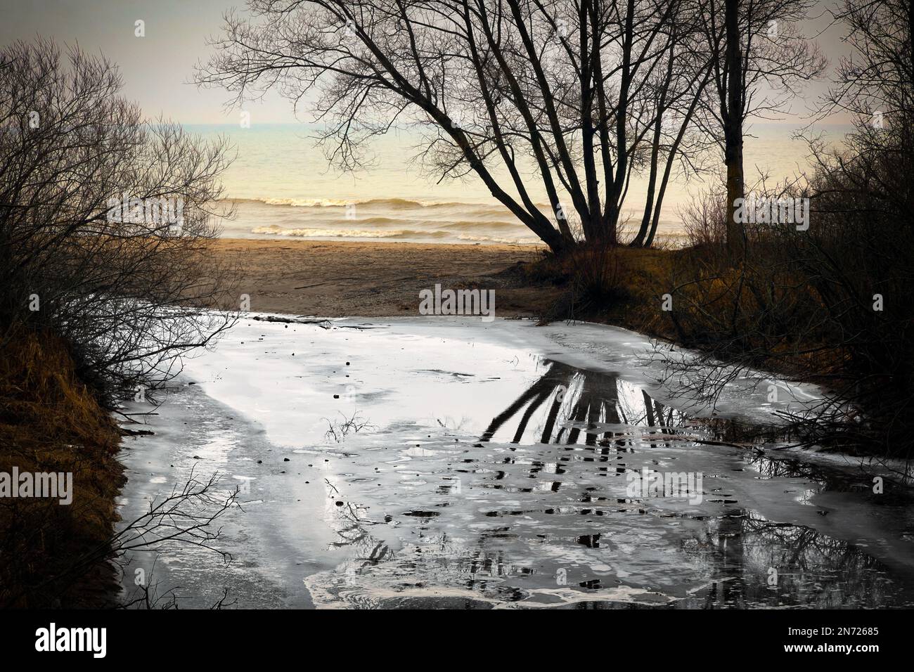 Ice forms, and the water reflects, on Silver Creek where it feed to ...