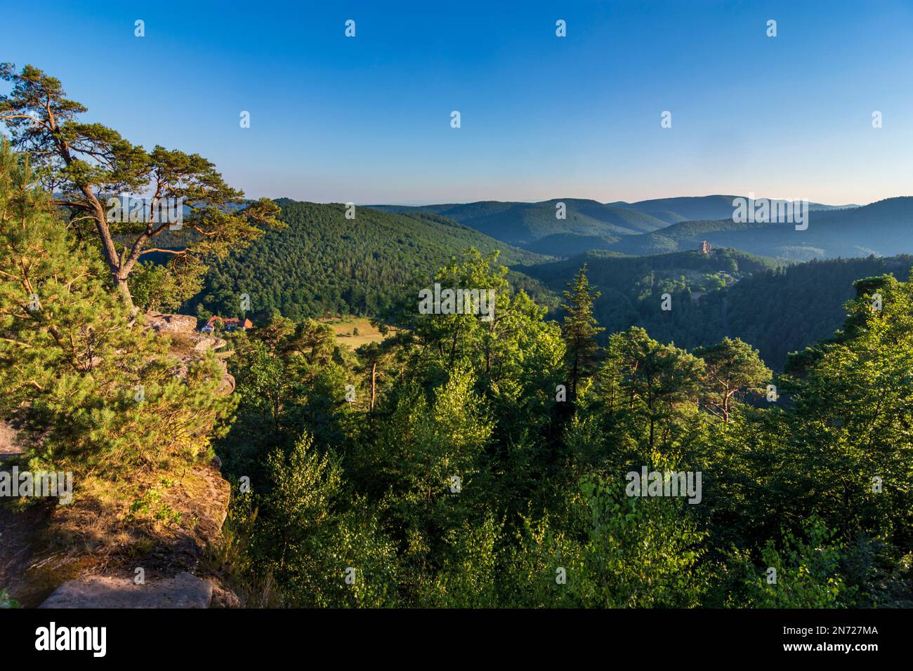 Fleckenstein castle in palatinate forest north vosges biosphere reserve ...