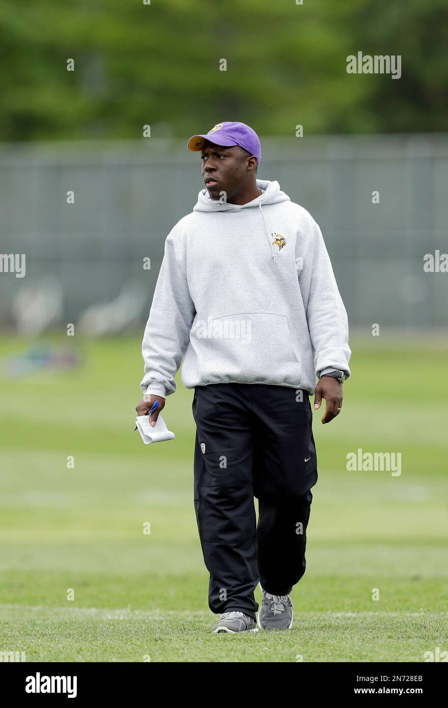Minnesota Vikings defensive coordinator Alan Williams looks on during ...
