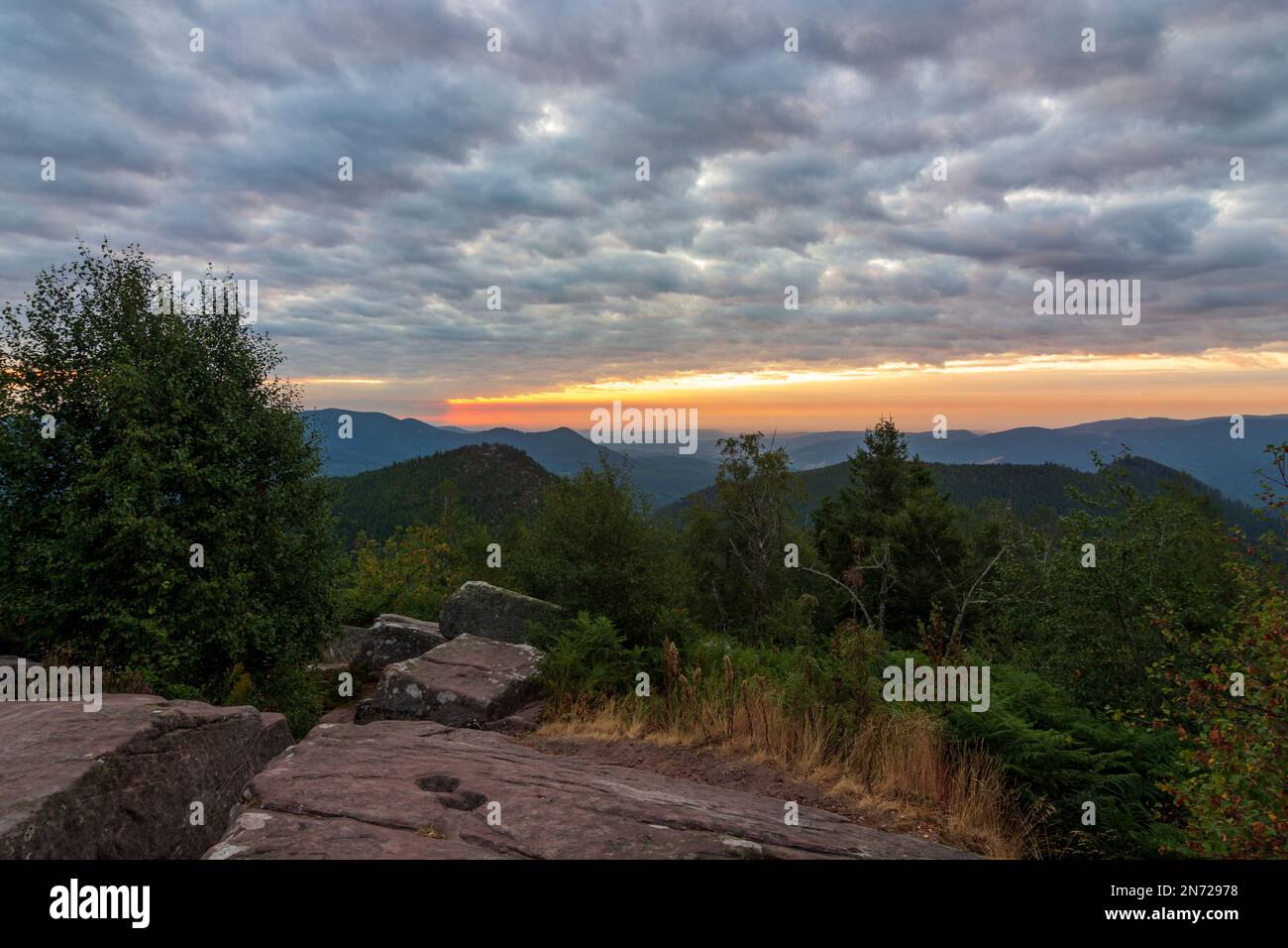 Mount mont donon hohe donne hi-res stock photography and images - Alamy