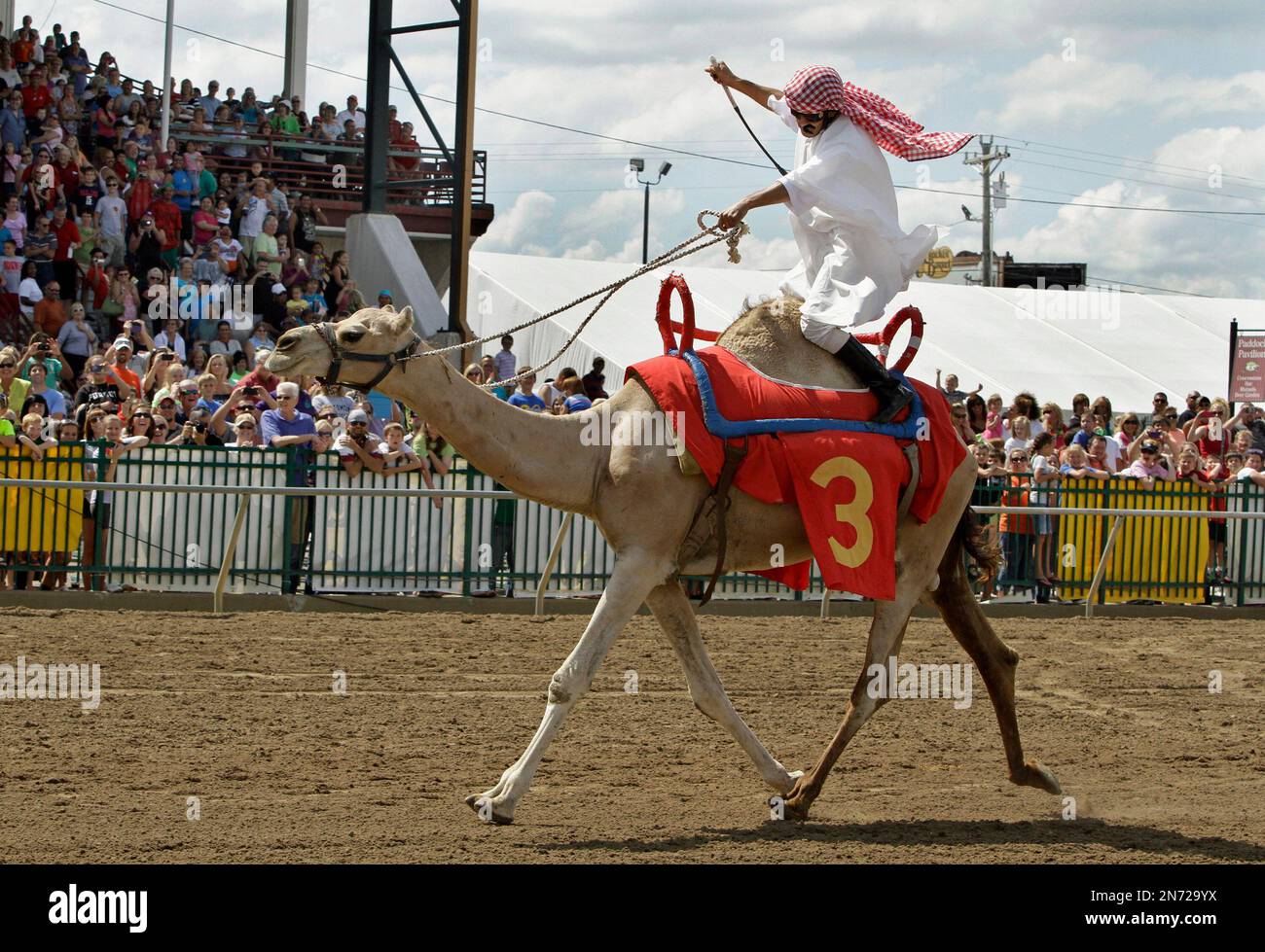 Jockey Rafael "Sheik Ironpants" Mojica didn't fair well aboard Humpty ...