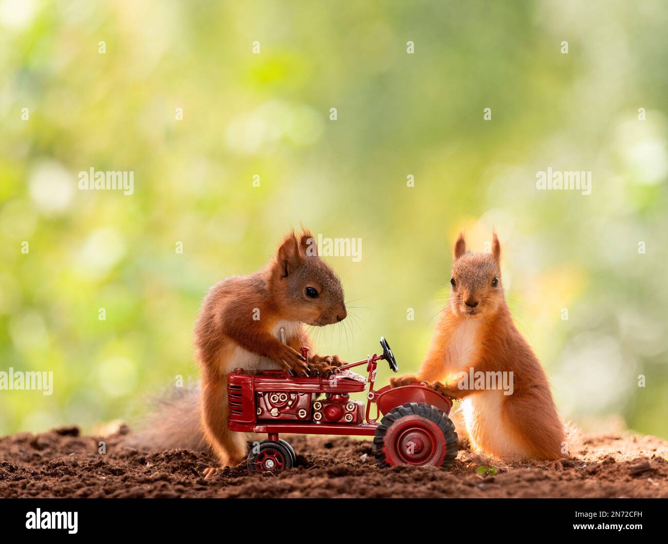 Vehicle procurement hi-res stock photography and images - Alamy