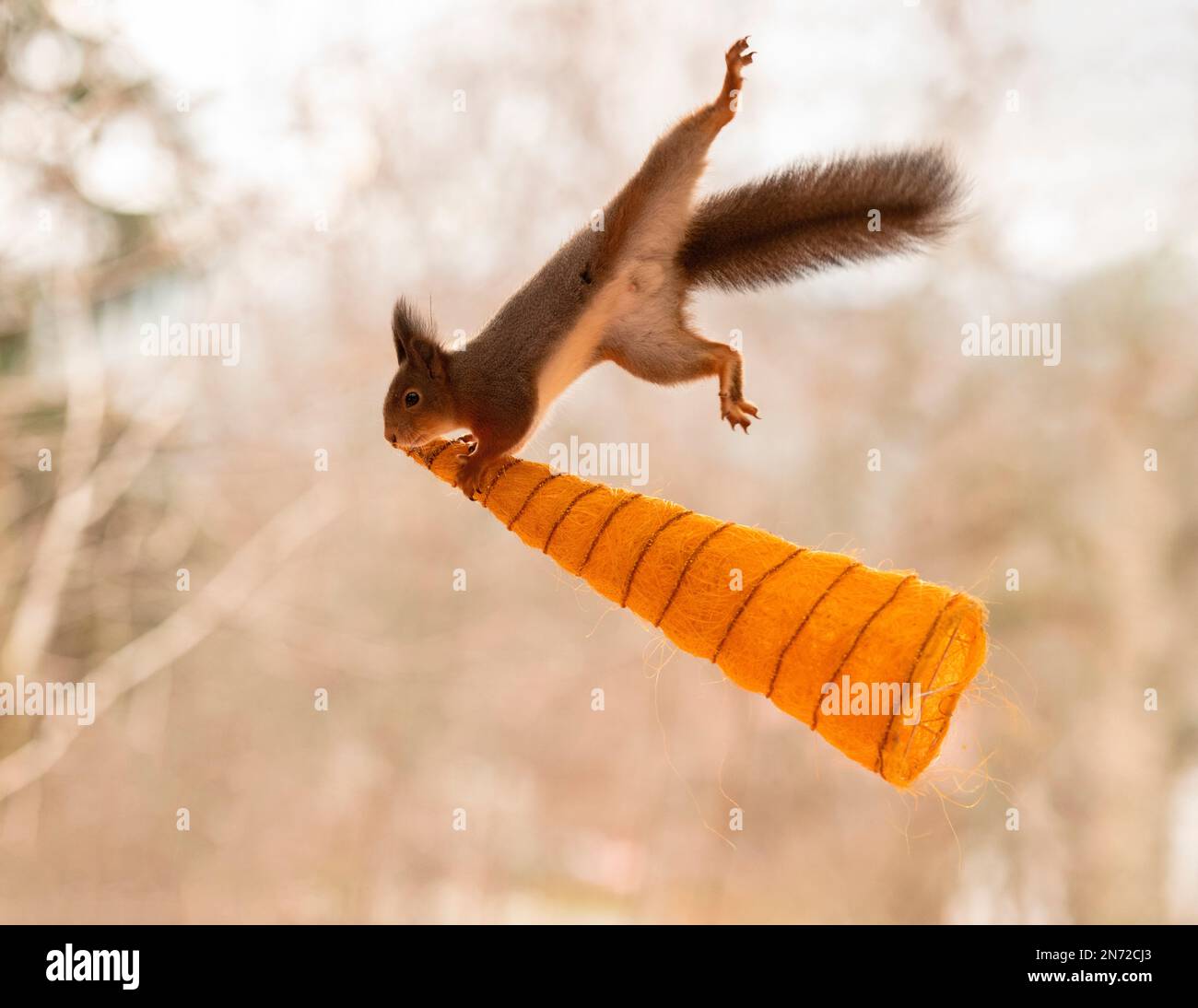 Falling jump hi-res stock photography and images - Alamy
