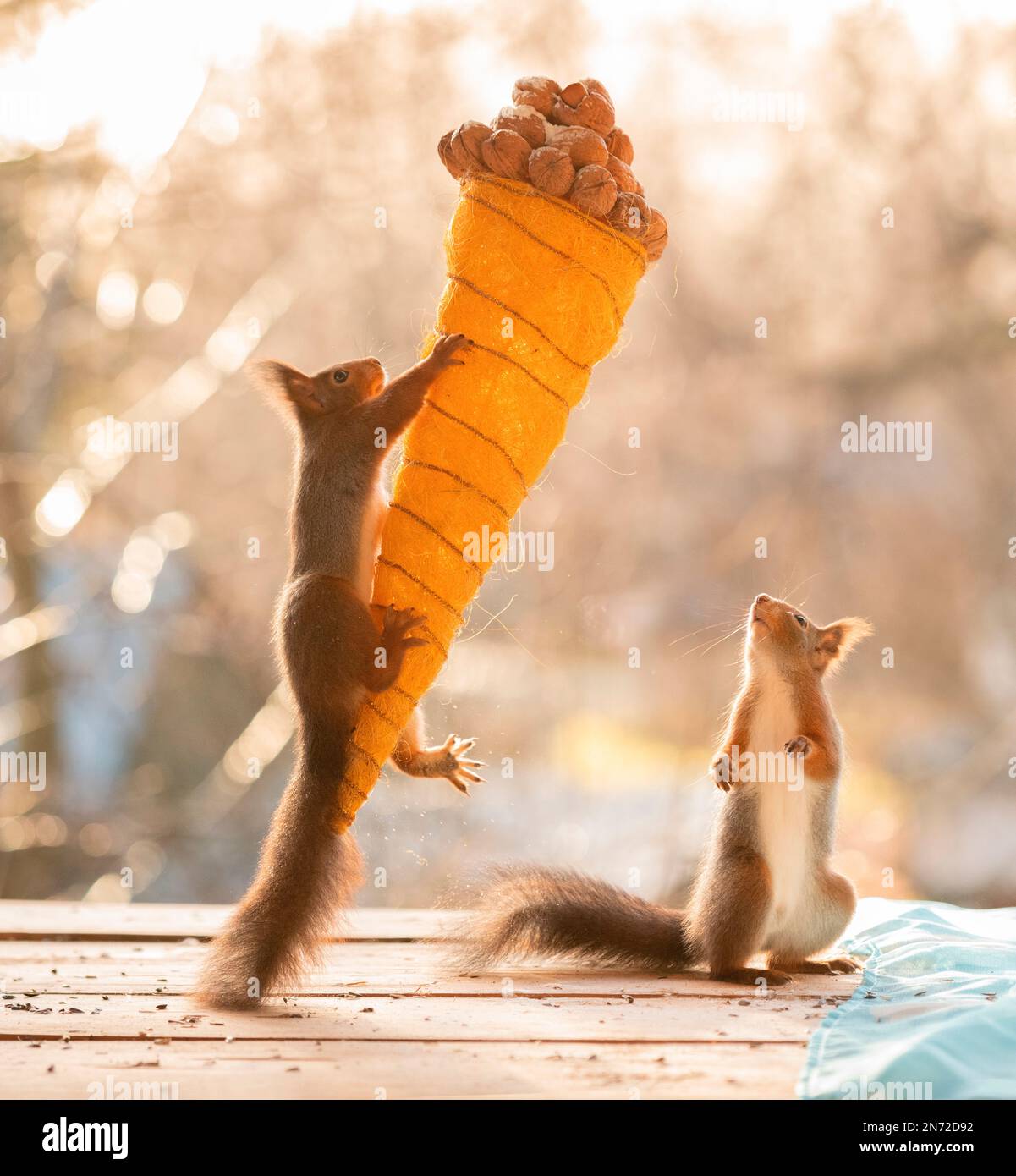 The falling rocket hi-res stock photography and images - Alamy