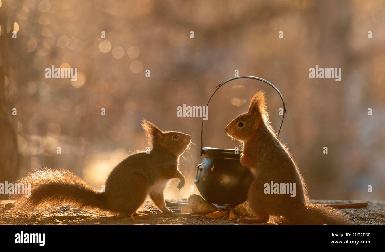 Brewing a kettle hi-res stock photography and images - Alamy