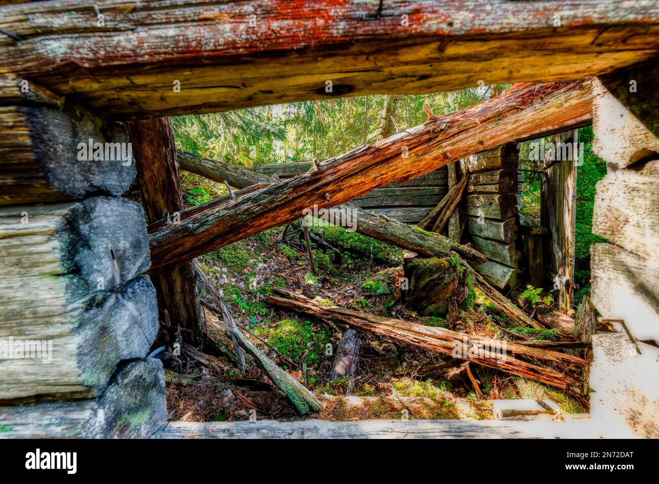 Damaged cabin in a forest in sweden hi-res stock photography and images ...