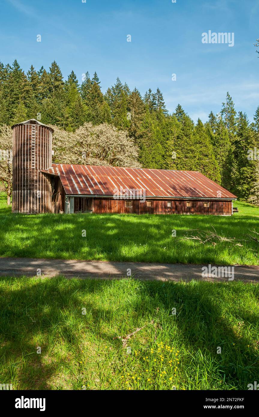 An old barn with a silo at Mt Pisgah Arboretum with images of Coast ...