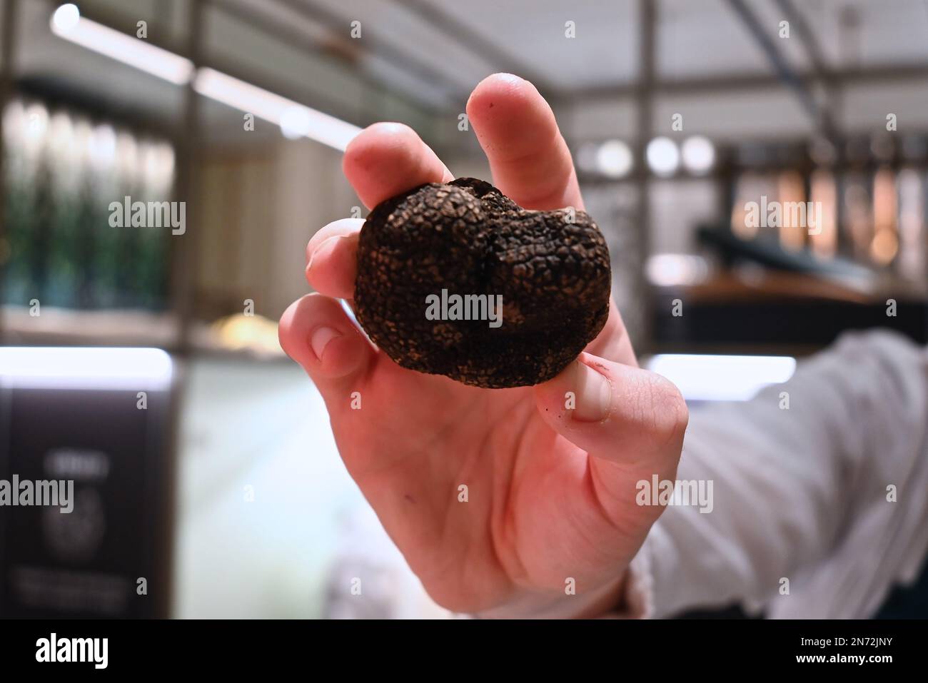 Harrods food halls serve culinary delights from all over the globe ...