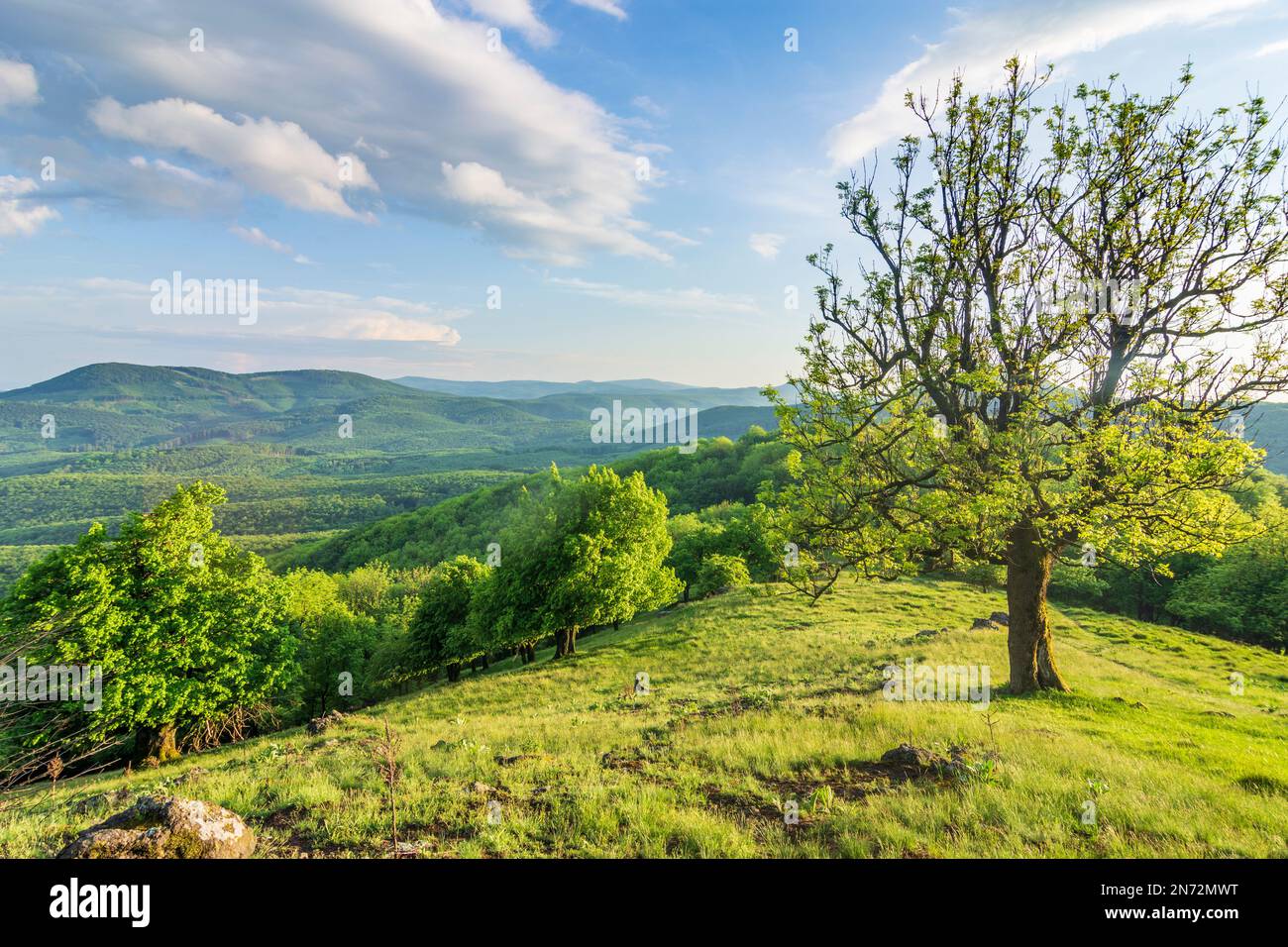 Klokoc nature reserve hi-res stock photography and images - Alamy