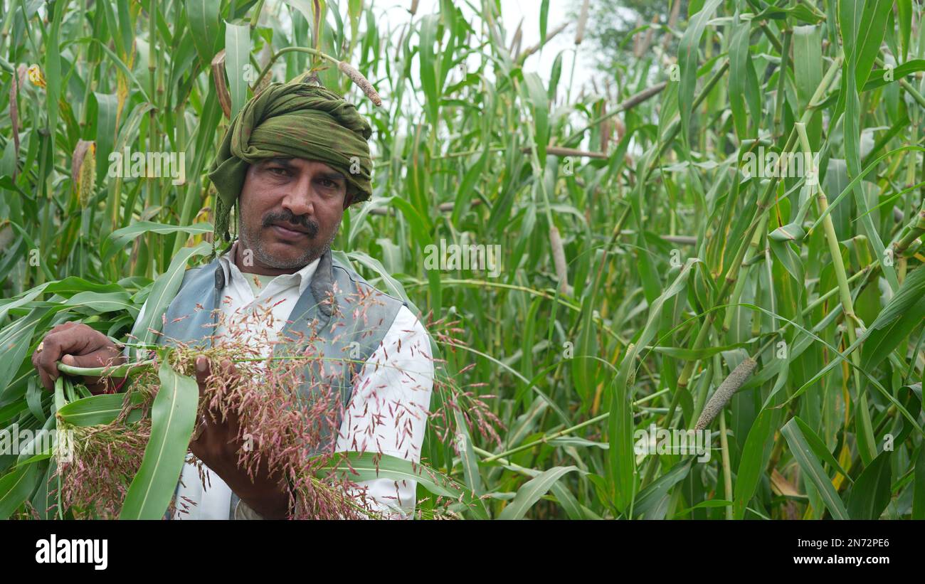 Young indian farmer green agriculture hi-res stock photography and ...